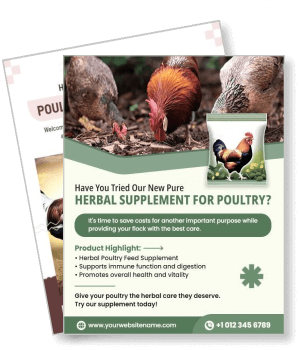 Poultry Poster Templates — Farm Sales & Product Promotion