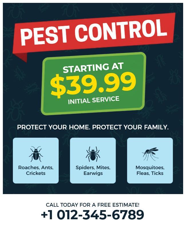 Affordable Pest Control Service Flyer Template