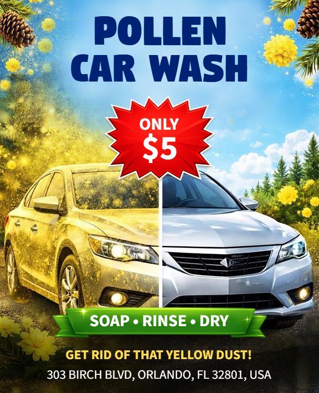 Affordable Pollen Car Wash Service Flyer Template
