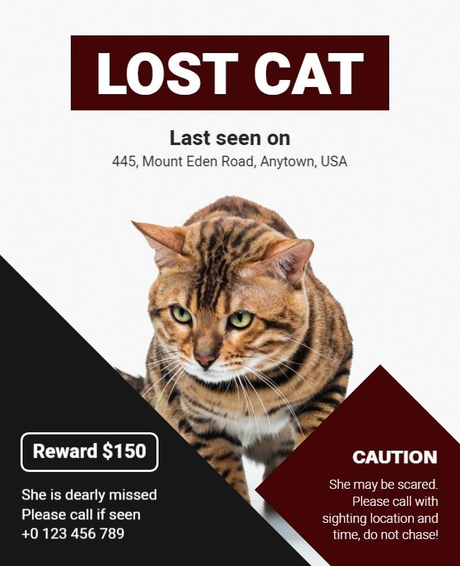 Bold Lost Cat Alert with Caution and Reward Poster Template