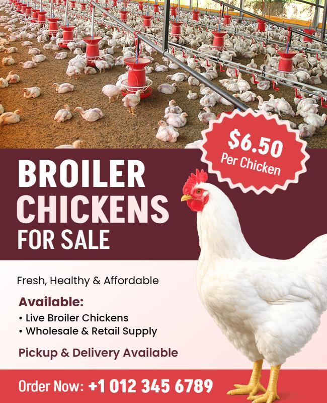 Broiler Chicken Sale Promotion Flyer Template