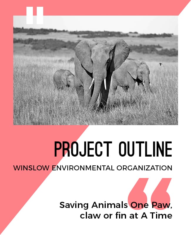 Monochrome Wildlife Conservation Project Outline Poster Template