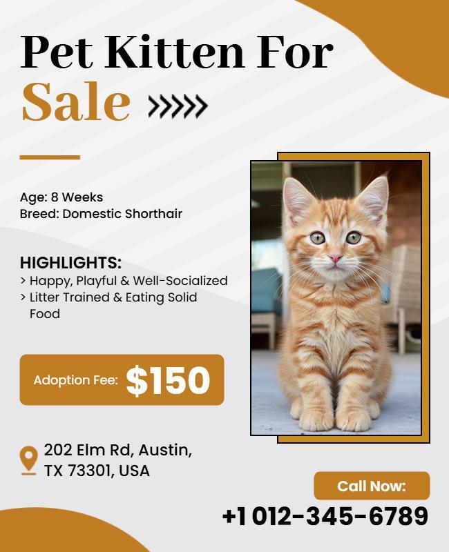 Pet Kitten Sale Offer Flyer Template