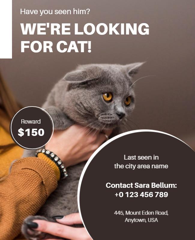 Playful Grey Cat Missing Pet Notice Poster Template