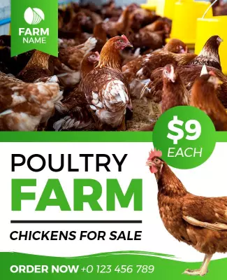 Poultry Farm Flyer Templates – Free & Customizable Designs
