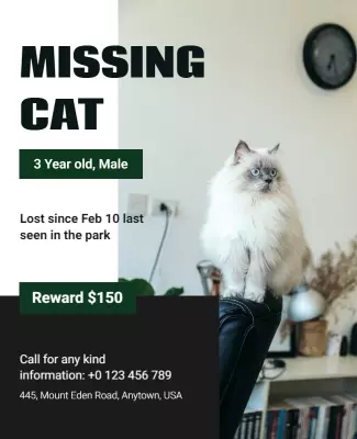 Missing Cat Poster Templates | Customize & Download for Free