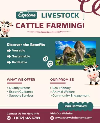 Free Livestock Flyer Templates for Auctions & Feed Sales