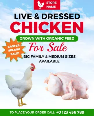 Chicken Flyer Templates – Editable & Printable | DesignWiz