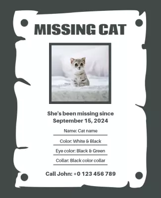 Missing Cat Poster Templates | Customize & Download for Free